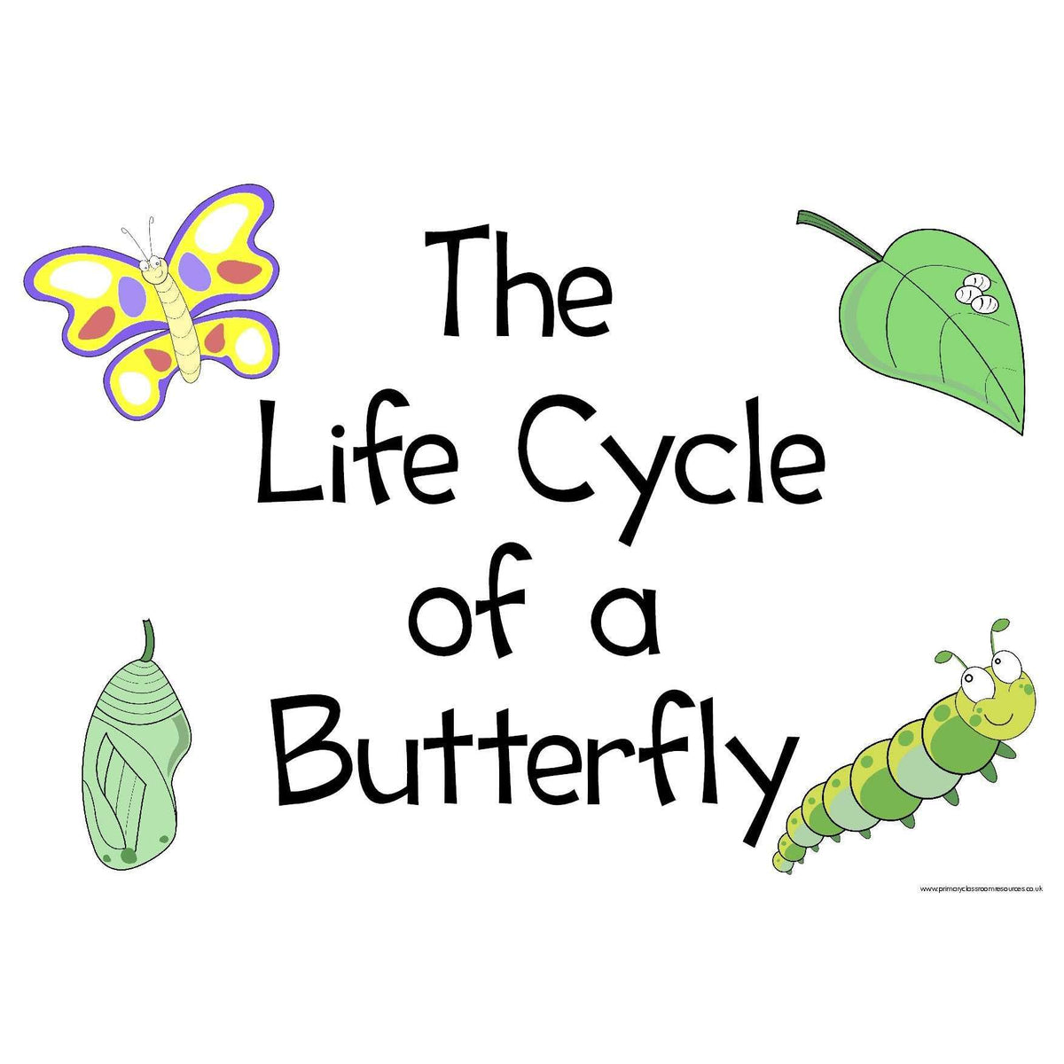 Butterfly Life Cycle Poster Pack – Primary Classroom Resources