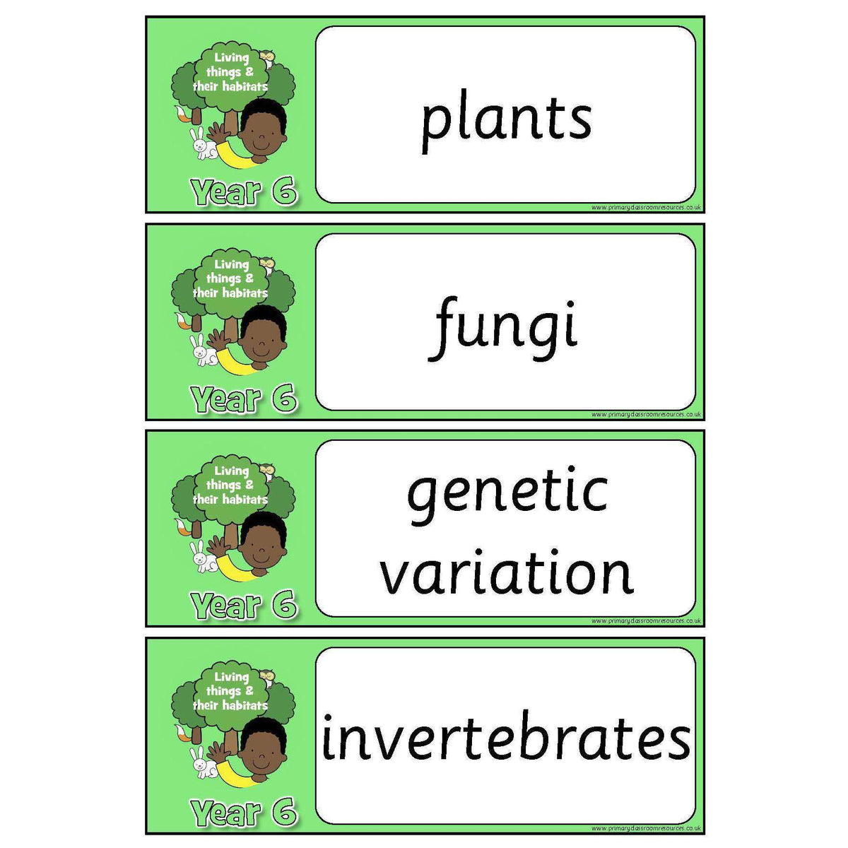 Year 6 Science Vocabulary - Living things and their habitats – Primary ...