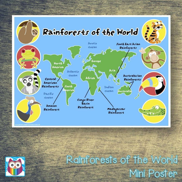 Rainforests of the World Map Pack – Primary Classroom Resources