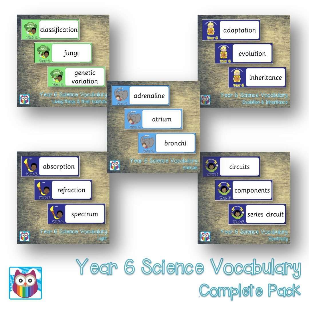 Year 6 Science Vocabulary Pack – Primary Classroom Resources