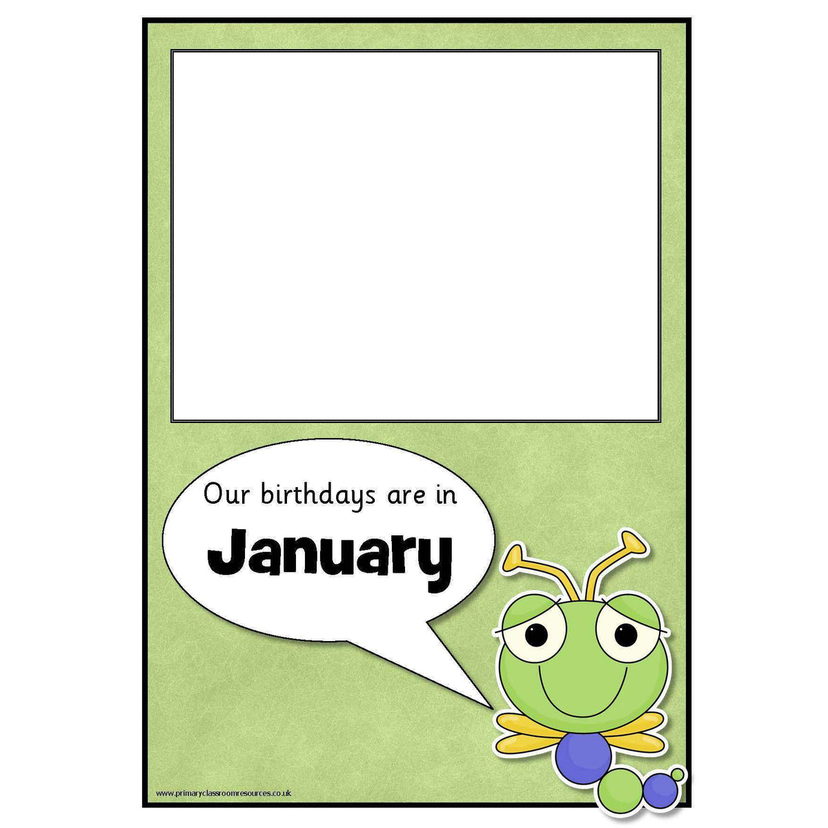 Birthday Bugs Poster Pack – Primary Classroom Resources