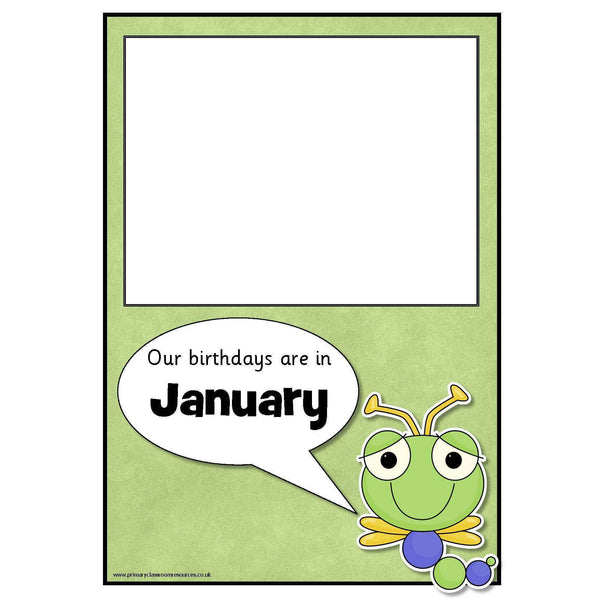 Birthday Bugs Poster Pack – Primary Classroom Resources