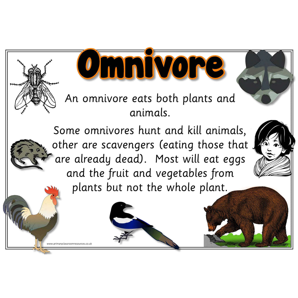 Carnivore Herbivore Omnivore Display Pack – Primary Classroom Resources