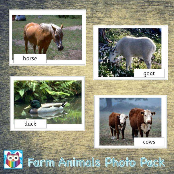Farm Vocabulary Mat – Primary Classroom Resources