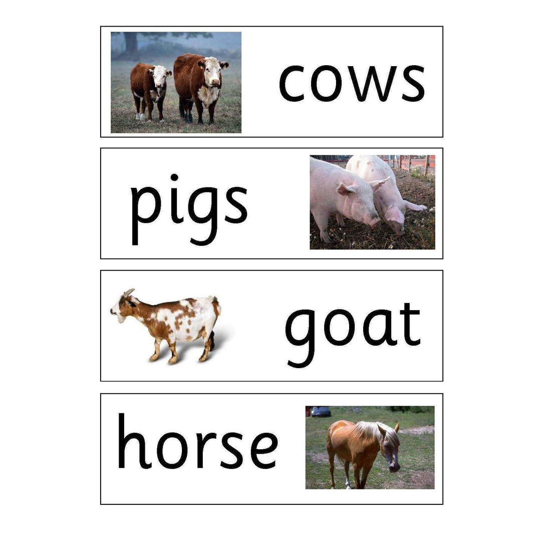 Farm Display Pack – Primary Classroom Resources