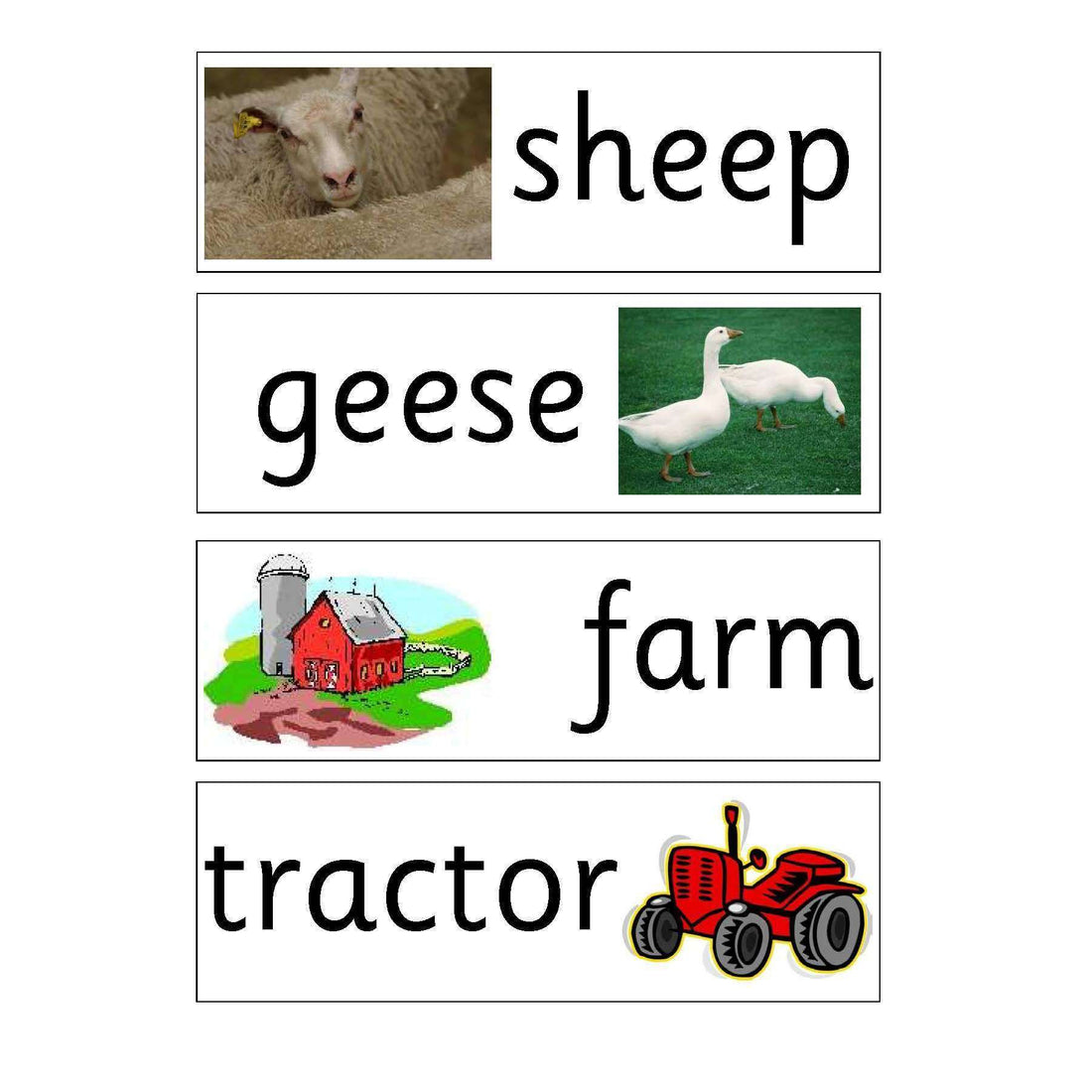 Farm Vocabulary Flashcards – Primary Classroom Resources