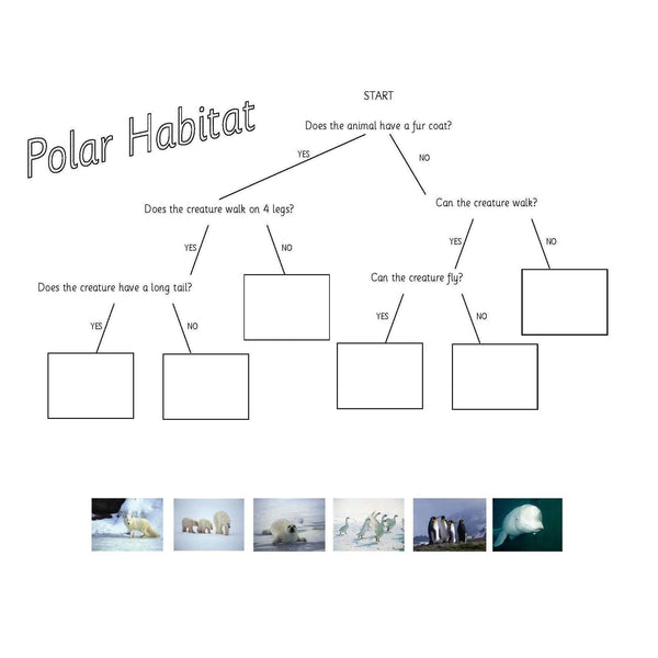 Habitats Keys – Primary Classroom Resources