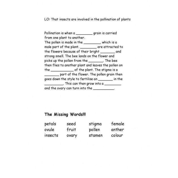 Life Cycle of Plants Worksheet – Primary Classroom Resources
