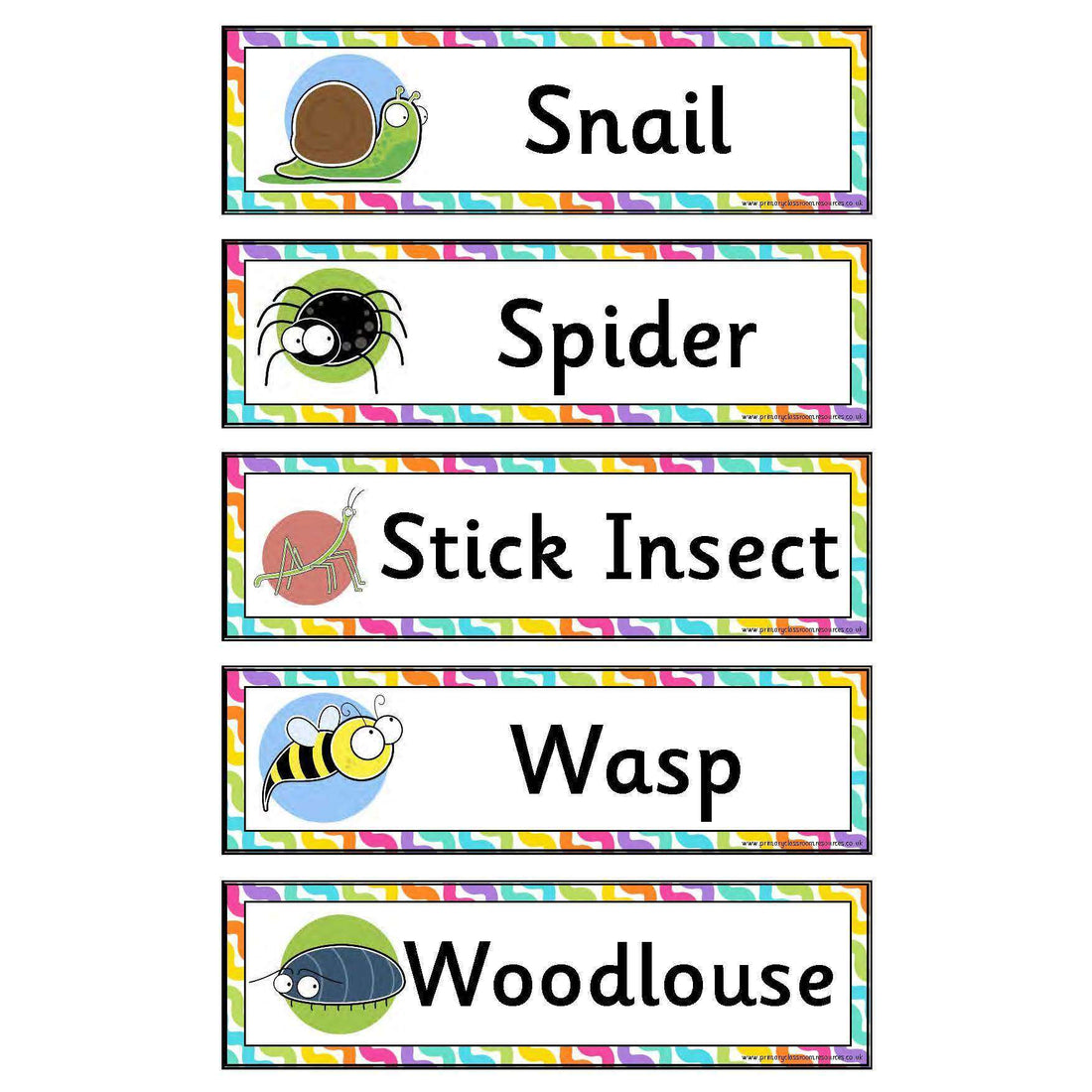 Minibeasts Flashcards – Primary Classroom Resources