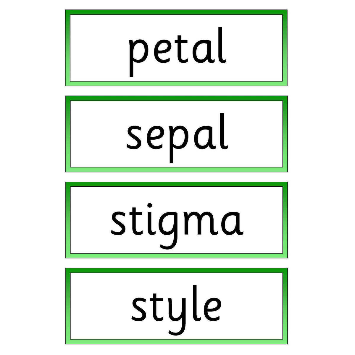 Parts of a Flower Activity – Primary Classroom Resources