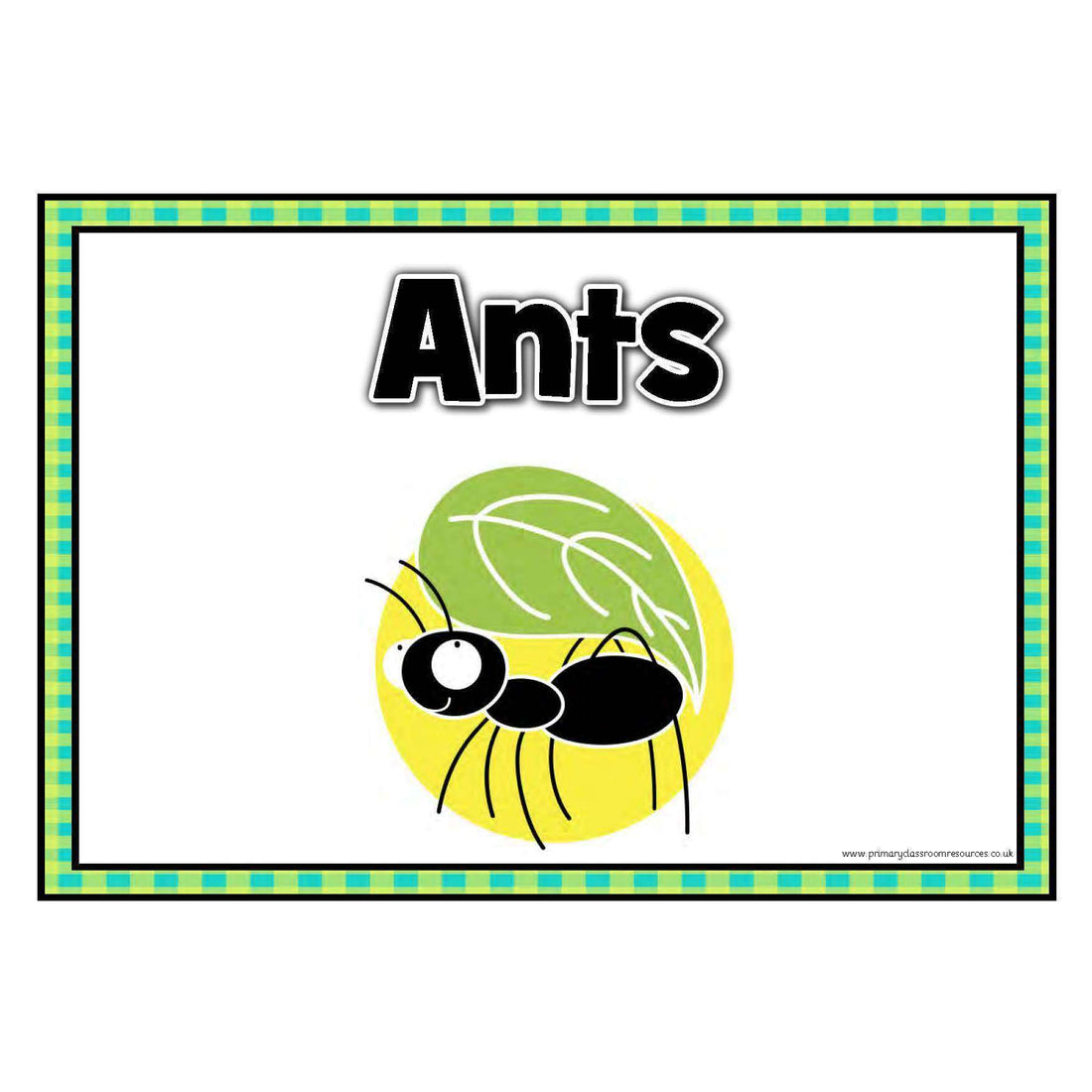 Rainforest Themed Table/Group Signs – Primary Classroom Resources