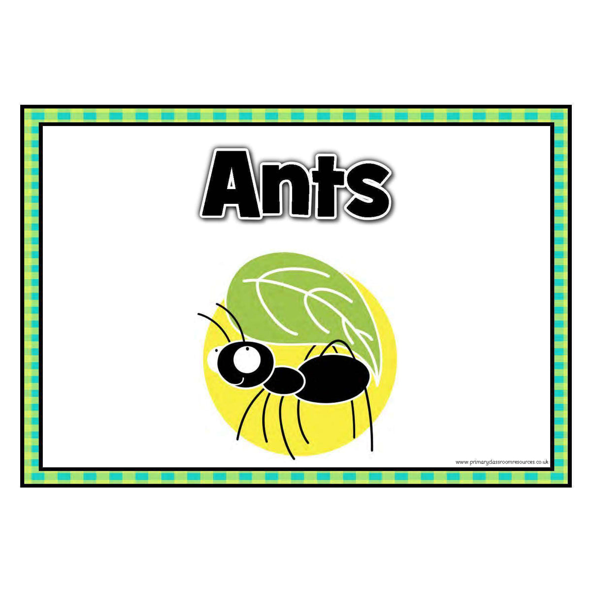 Rainforest Themed Table/Group Signs – Primary Classroom Resources
