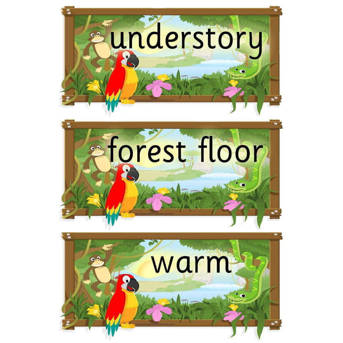 Rainforest Themed Vocabulary Cards – Primary Classroom Resources