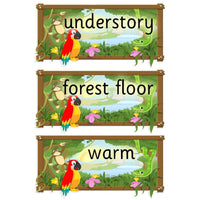 Rainforest Themed Vocabulary Cards – Primary Classroom Resources
