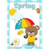 Seasons Bears Posters – Primary Classroom Resources