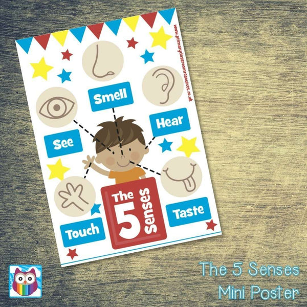 The 5 Senses Mini Poster/Help Mat – Primary Classroom Resources