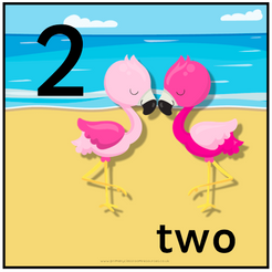 Tropical Themed Number Cards – Primary Classroom Resources