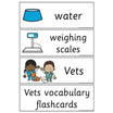Vet Vocabulary Flashcards – Primary Classroom Resources