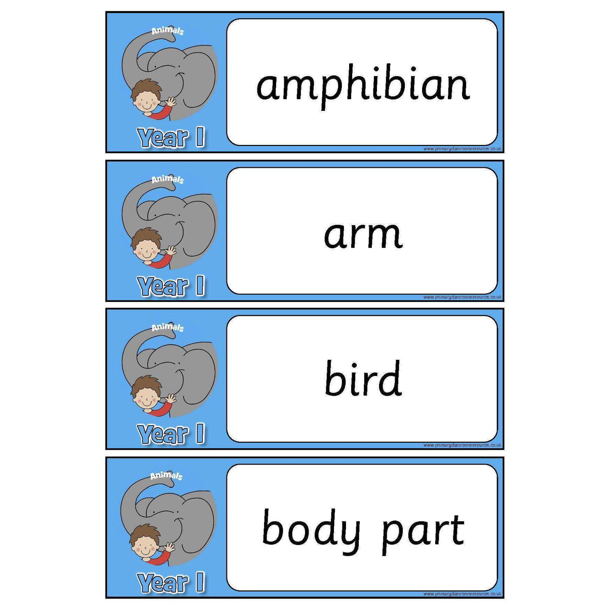 Year 1 Science Vocabulary - Animals – Primary Classroom Resources