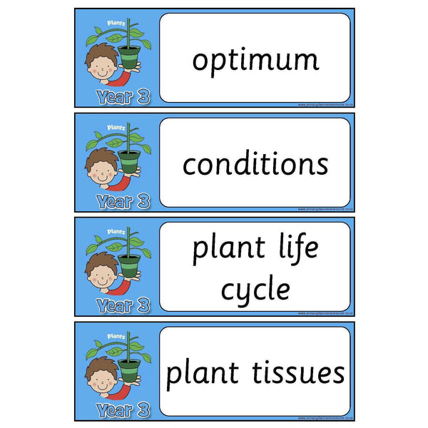 Year 3 Science Vocabulary - Plants – Primary Classroom Resources